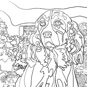 springer spaniel coloring book