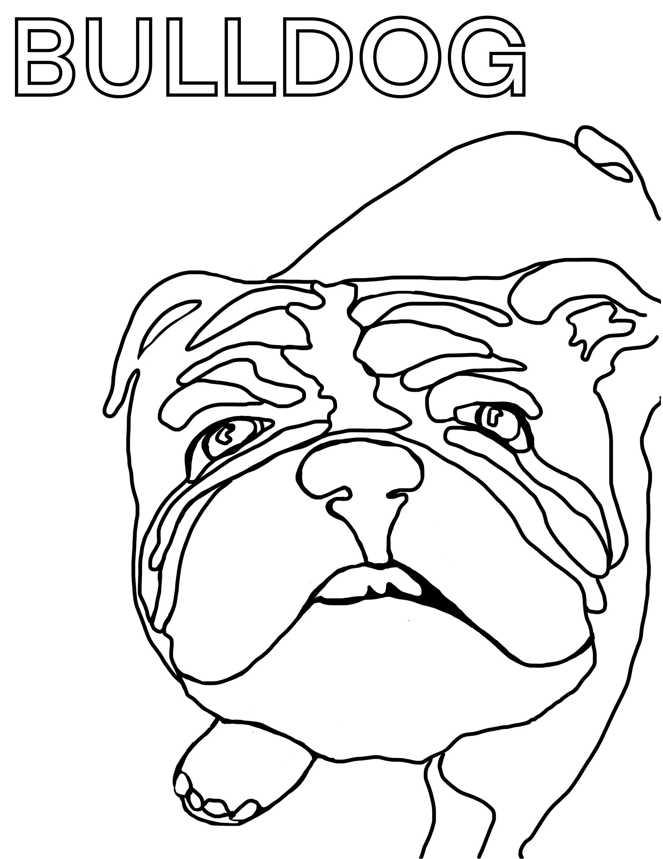 English Bulldog Coloring Pages