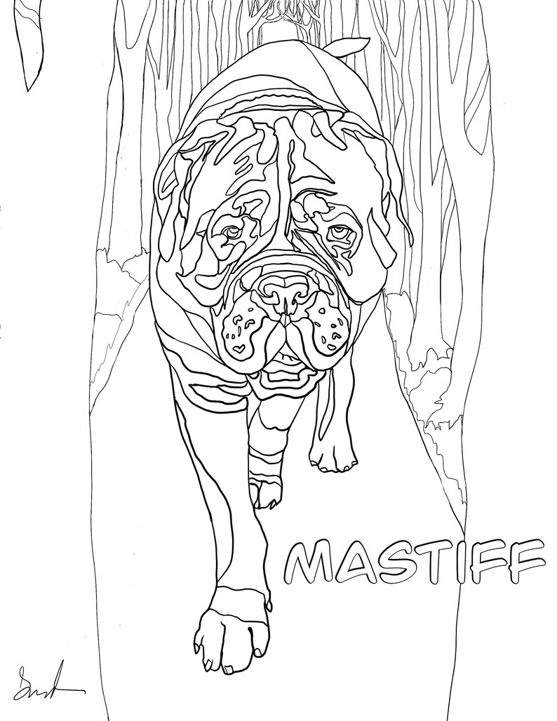 Printable Mastiff Original Art Coloring Page - Etsy
