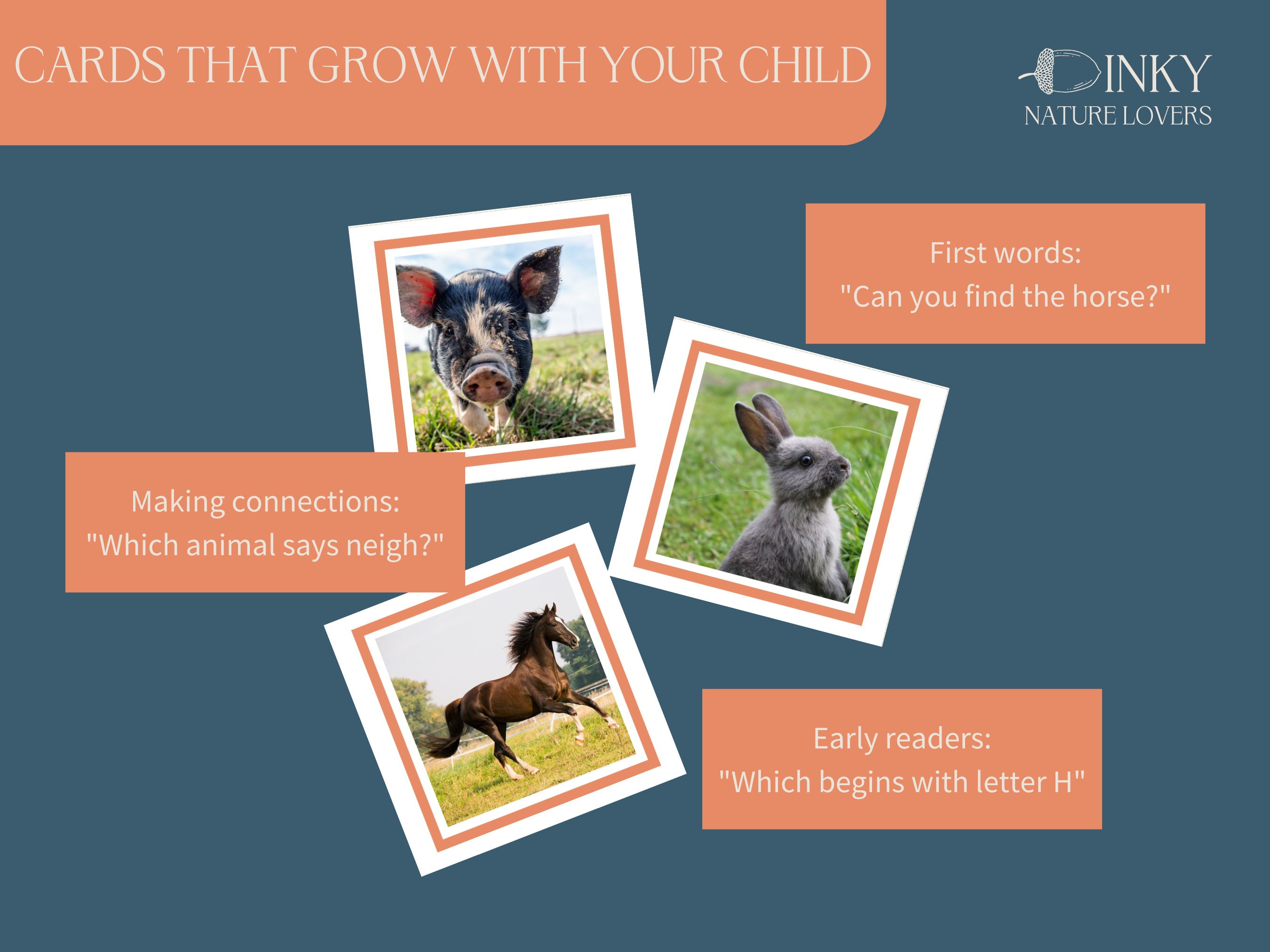Farm Animal Flashcards With Real Pictures Printable Toddler Activities ...