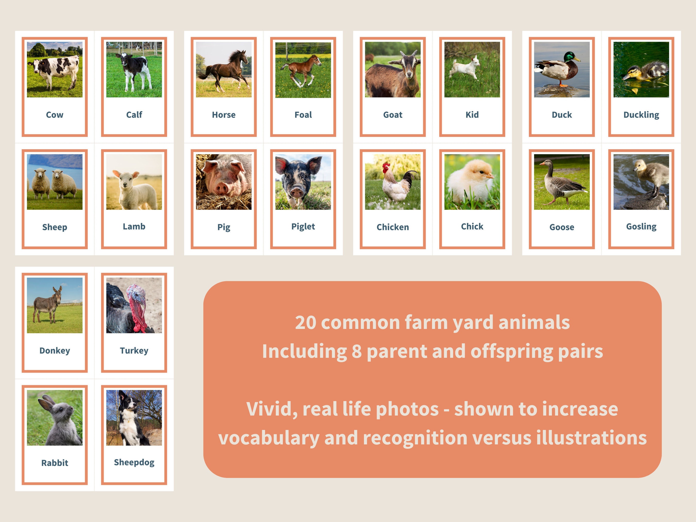 Farm Animal Flashcards With Real Pictures Printable Toddler Activities ...