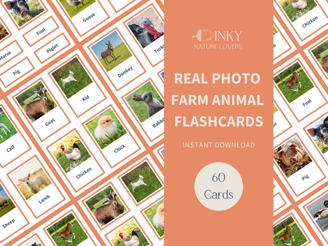 Farm Animal Flashcards With Real Pictures Printable Toddler Activities ...