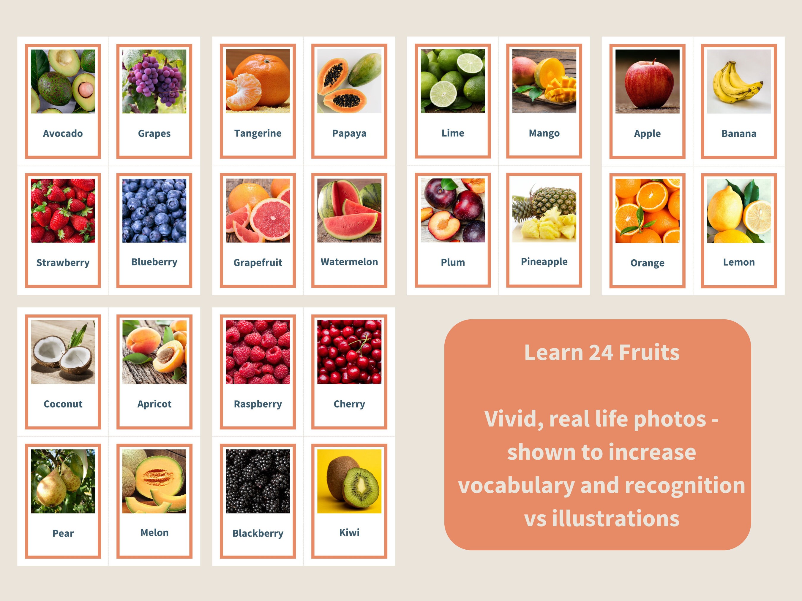 Fruit Flashcards Realistic Images 3 Part Cards Shopping - Etsy