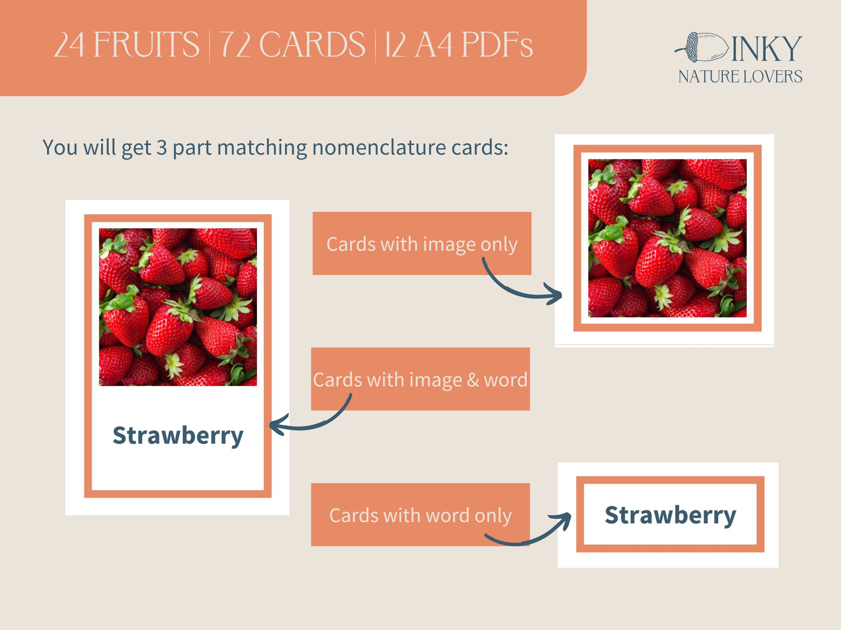 Fruit Flashcards Realistic Images 3 Part Cards Shopping - Etsy
