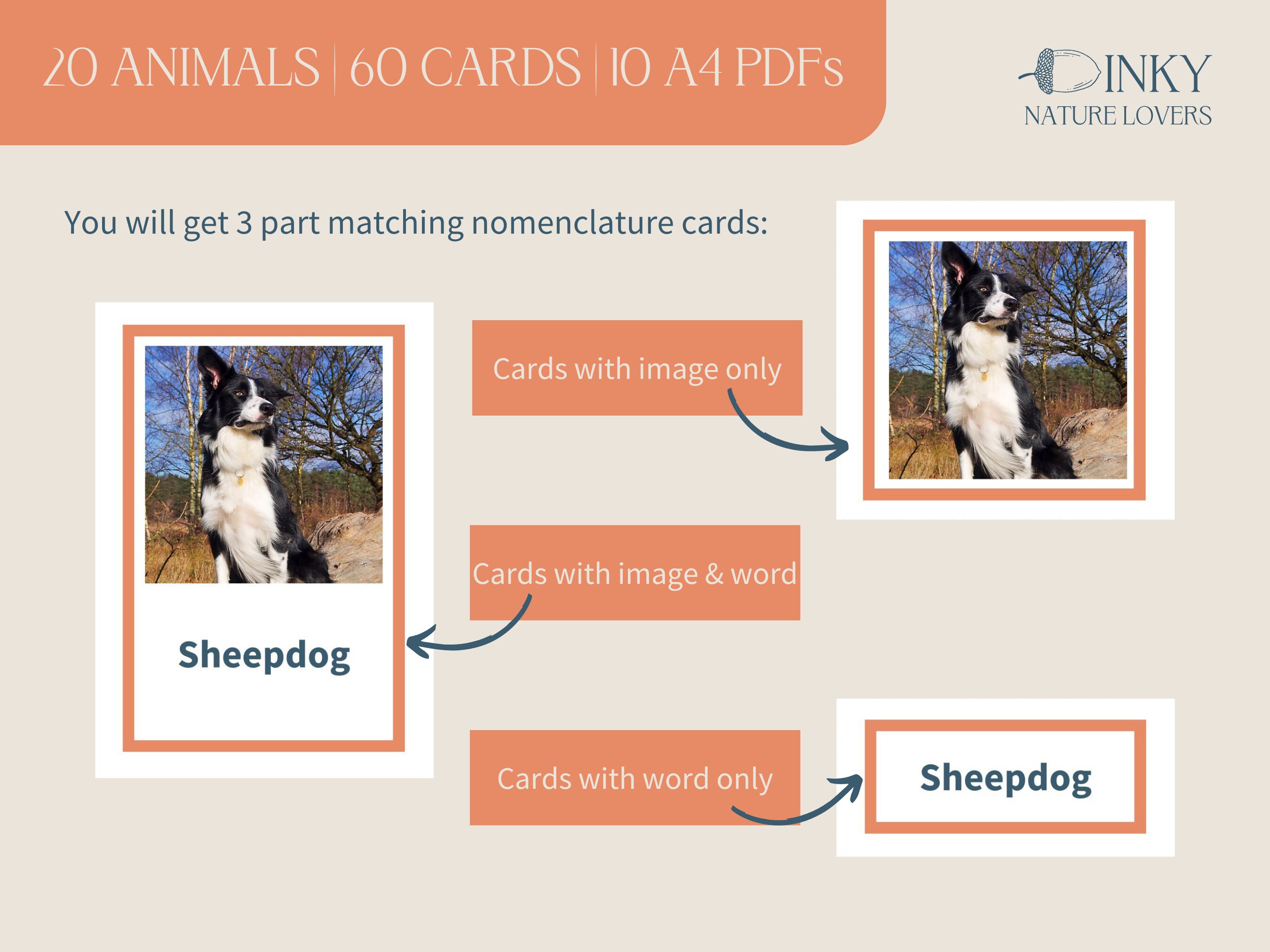 Farm Animal Flashcards With Real Pictures Printable Toddler Activities ...