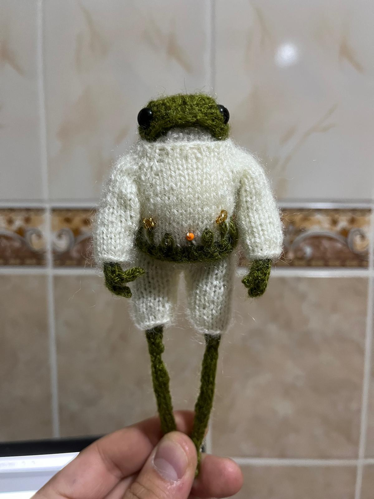 Knitted Frog in White Clothes, Amigurumi Frog, Frog Plush, Custom Frog ...