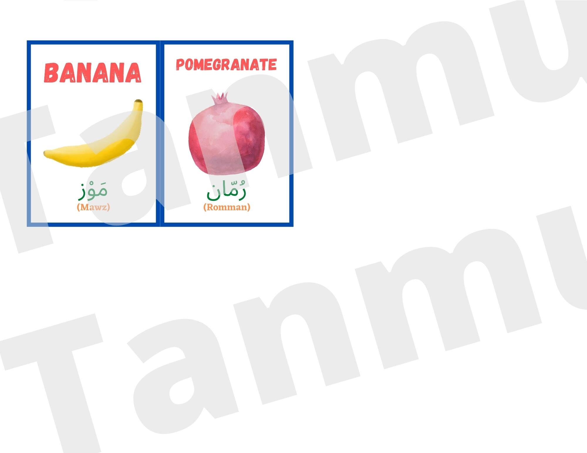 10 English Arabic Fruit Printable Flashcards - Etsy