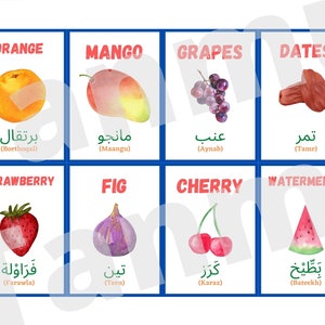 10 English Arabic Fruit Printable Flashcards - Etsy