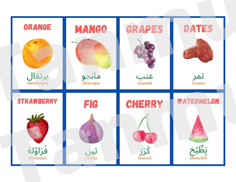 10 English Arabic Fruit Printable Flashcards - Etsy