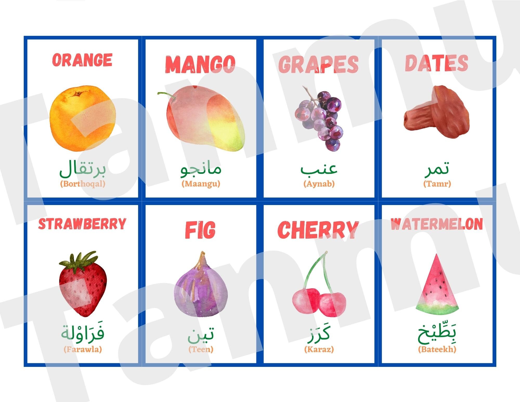 10 English Arabic Fruit Printable Flashcards - Etsy