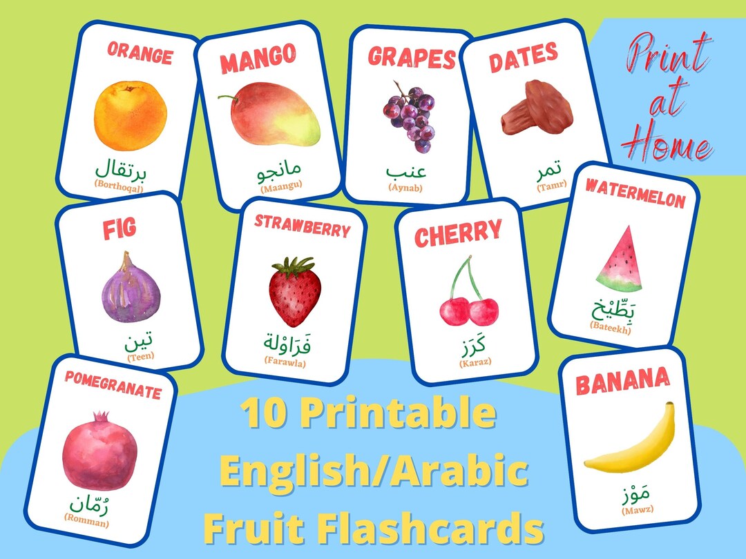10 English Arabic Fruit Printable Flashcards - Etsy