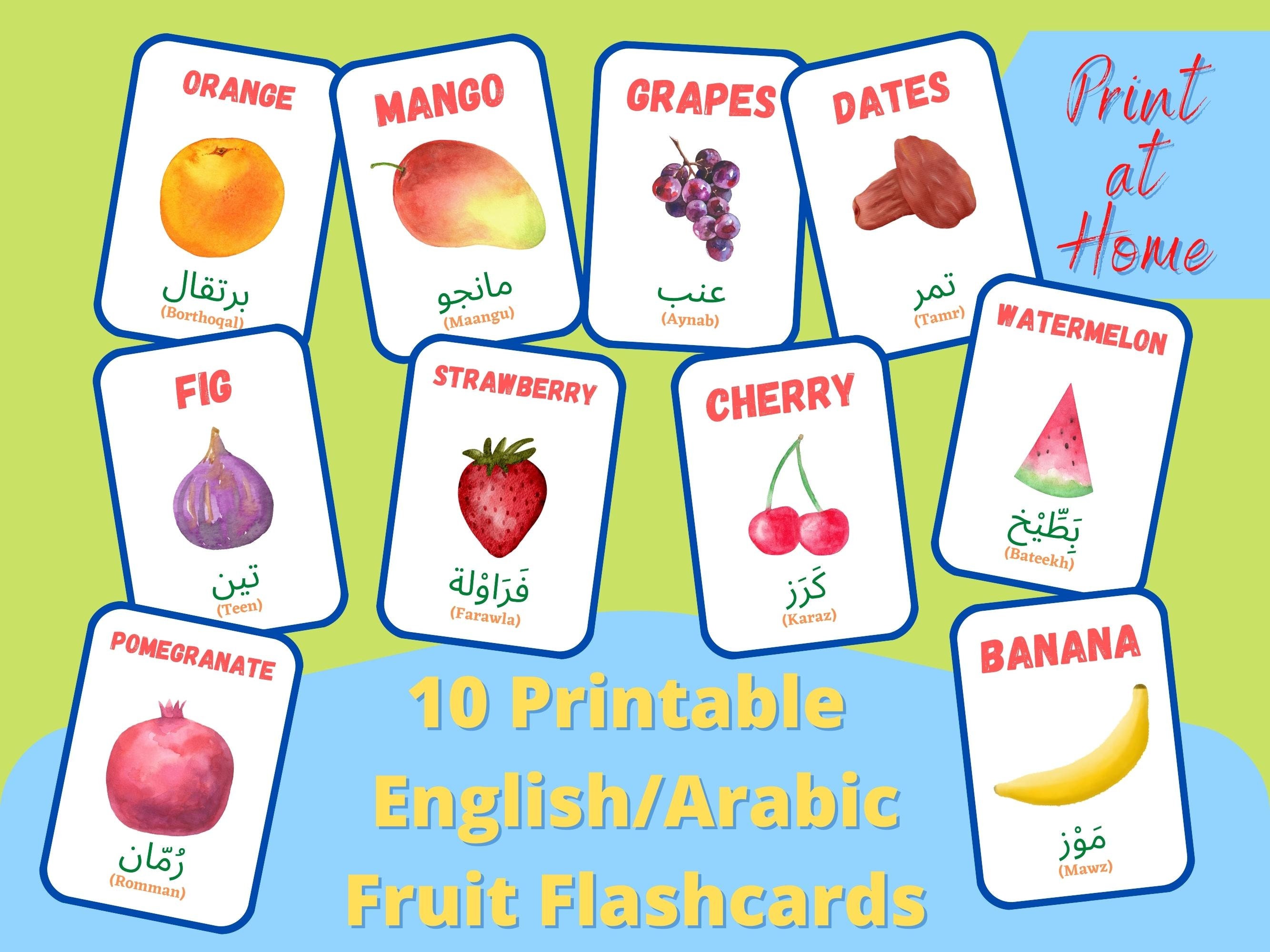 10 English Arabic Fruit Printable Flashcards - Etsy