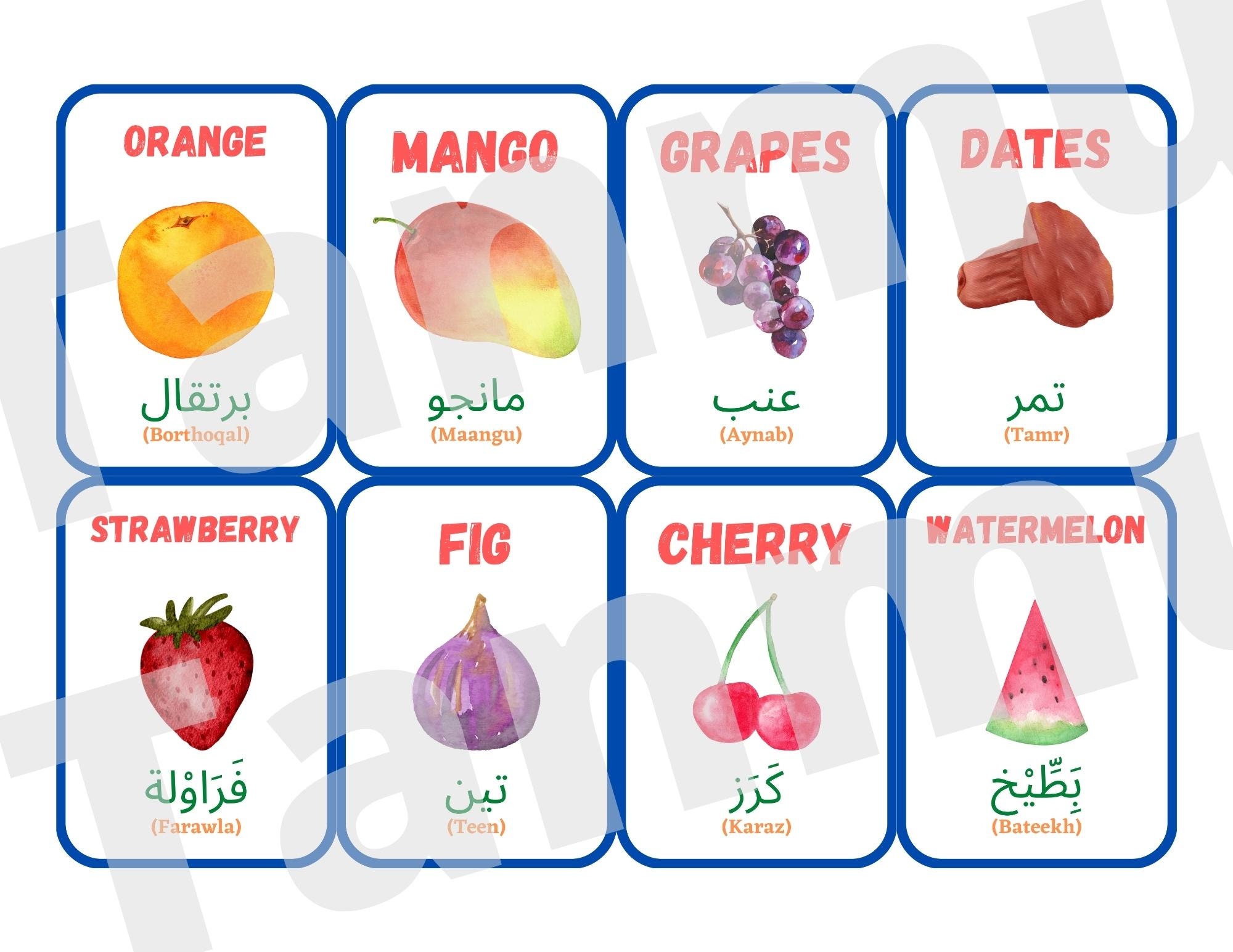 10 English Arabic Fruit Printable Flashcards - Etsy