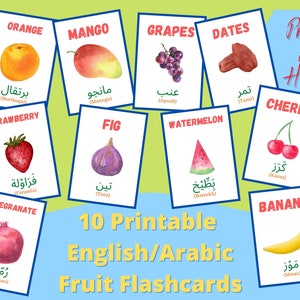 10 English Arabic Fruit Printable Flashcards - Etsy