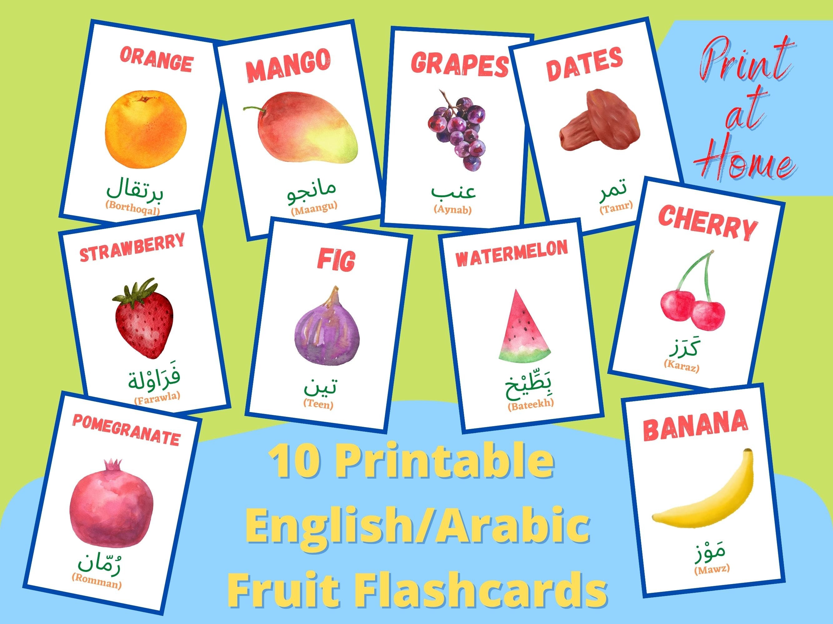 10 English Arabic Fruit Printable Flashcards - Etsy