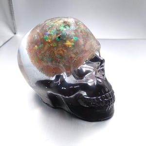 Clear Skull With Multicolor Brain Set of 2 - Etsy