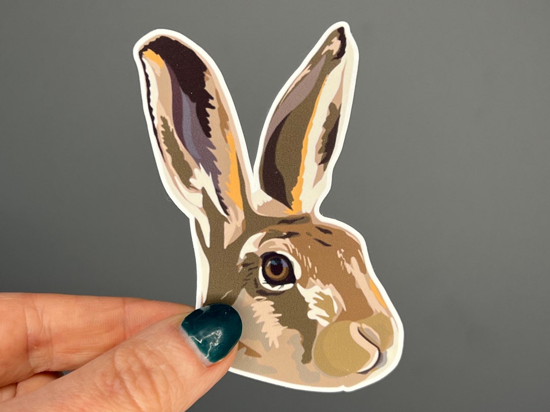Hare Waterproof Vinyl Sticker. Rabbit, British Wildlife, Woodland ...