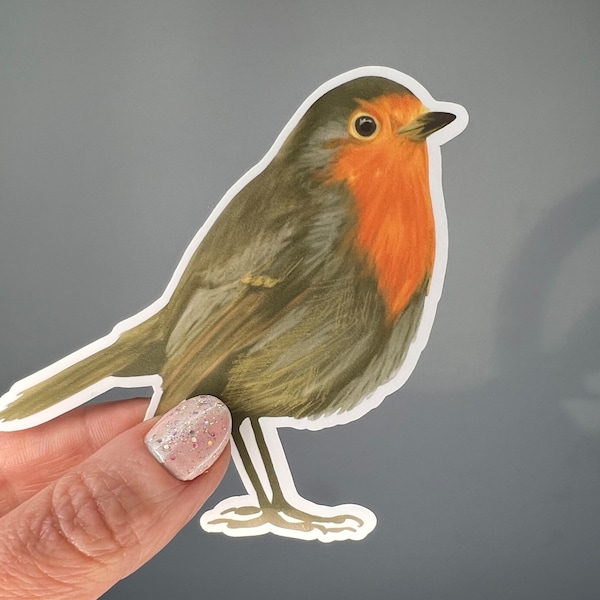 Robin Red Breast - Etsy