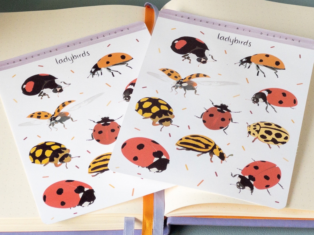 Ladybird Vinyl Sticker Sheet. Ladybug, Lady Beetle, Minibeast, Bug ...