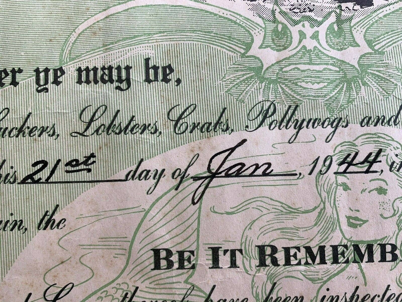 Vintage WWII 1944 USN Domain of Neptune Rex Certificate - Etsy