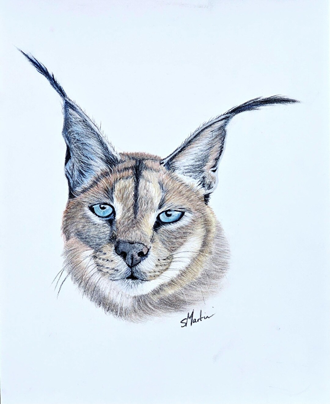 Limited Edition Art Print, Giclee Print, Art Print, Caracal Print, Big ...