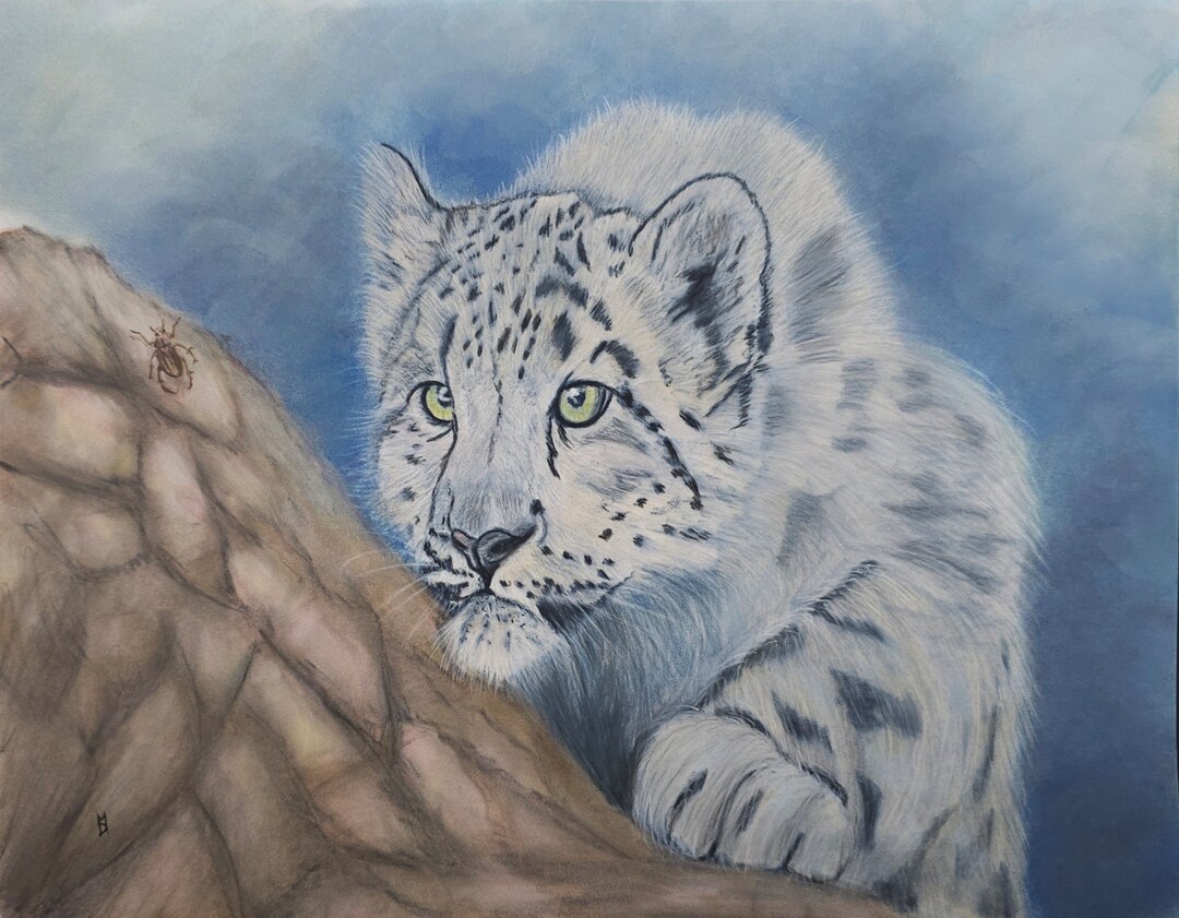 Giclee Print, Art Print, Snow Leopard Print - Etsy