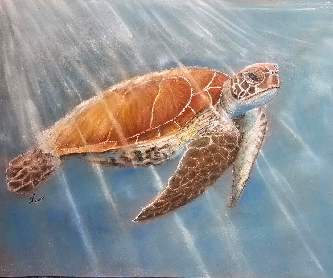 Giclee Print, Art Print, Turtle Art Print, Turtle Print, Wall Art ...