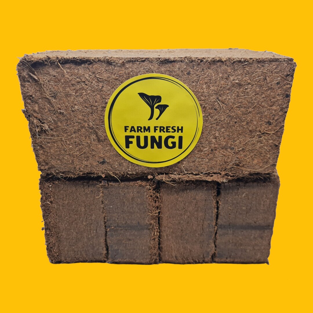 Brique en fibre de coco de coco (650 g) - Substrat pour la culture des ...