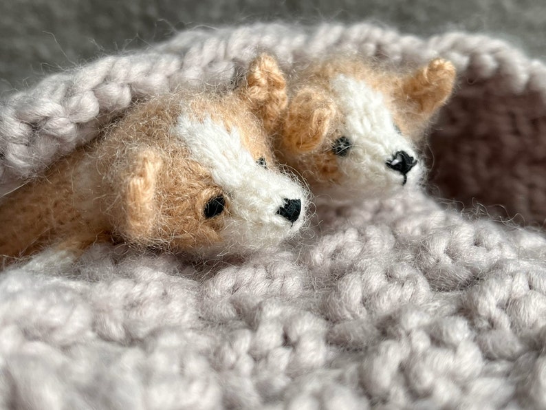 Corgi Knitting Pattern Amigurumi Dog Pattern. English and Russian PDF ...