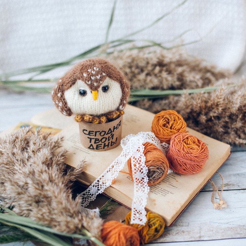 Little Barn Owl Knitting Pattern. Knitted Woodland Owl Step-by-step ...