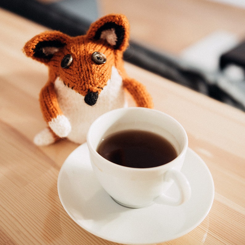 Lisik the Red Fox Knitting Pattern. Little Prince Foxy DIY Knitting ...