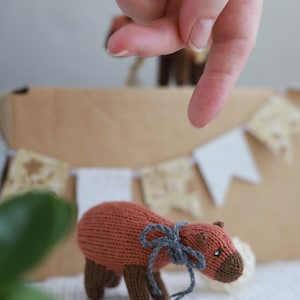 Capybara Knitting Pattern. Amigurumi Water Pig. Cute Rodent Knitted - Etsy