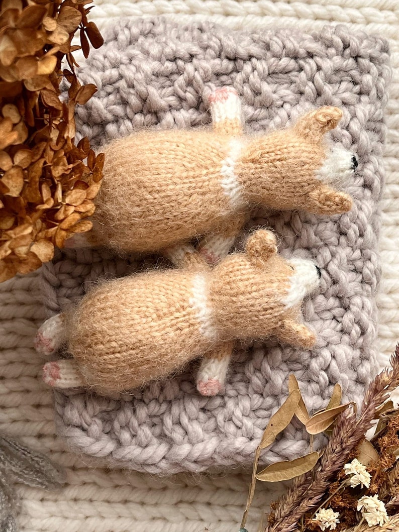 Corgi Knitting Pattern Amigurumi Dog Pattern. English and Russian PDF ...