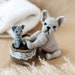 French Bulldog Puppy Knitting Pattern. Little Knitted Realistic Dog ...