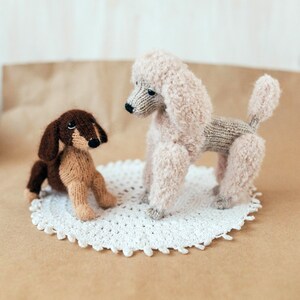 Poodle Puppy Knitting Pattern. Little Knitted Realistic Dog Step by ...