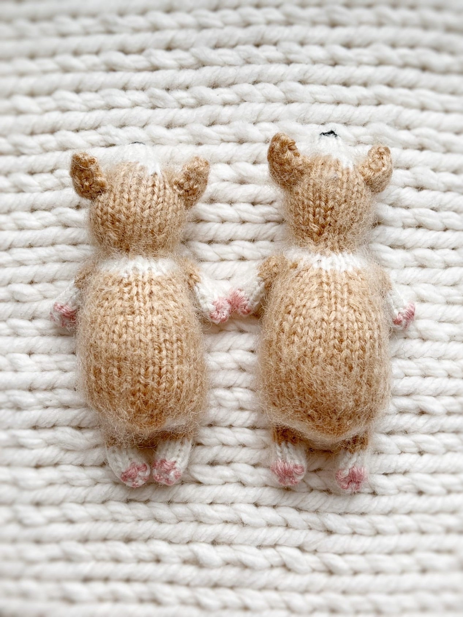 Corgi Knitting Pattern Amigurumi Dog Pattern. English and - Etsy