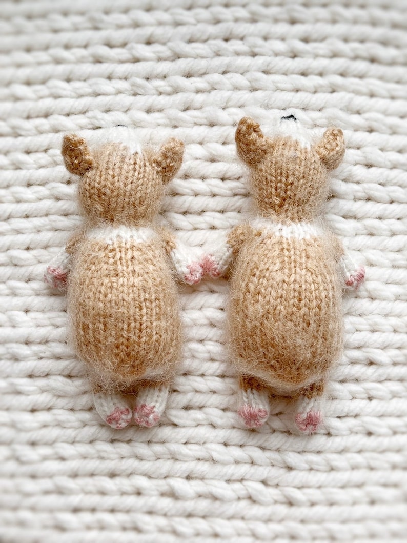 Corgi Knitting Pattern Amigurumi Dog Pattern. English and - Etsy