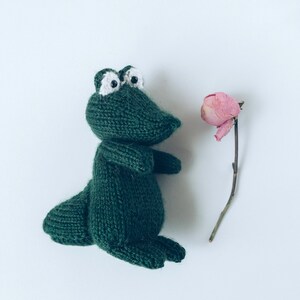 Mini Crocodile Knitting Pattern. Little Knitted Realistic Alligator ...