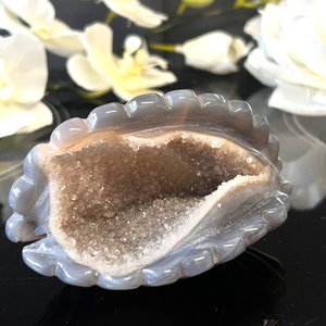 Crystal Sea Shell Blue Agate Nature Inspired Bathroom Decor Sparkly ...