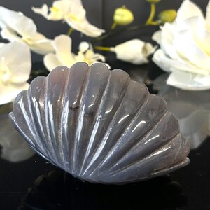 Crystal Sea Shell Blue Agate Nature Inspired Bathroom Decor Sparkly ...