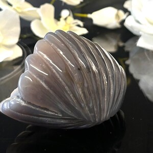 Crystal Sea Shell Blue Agate Nature Inspired Bathroom Decor Sparkly ...
