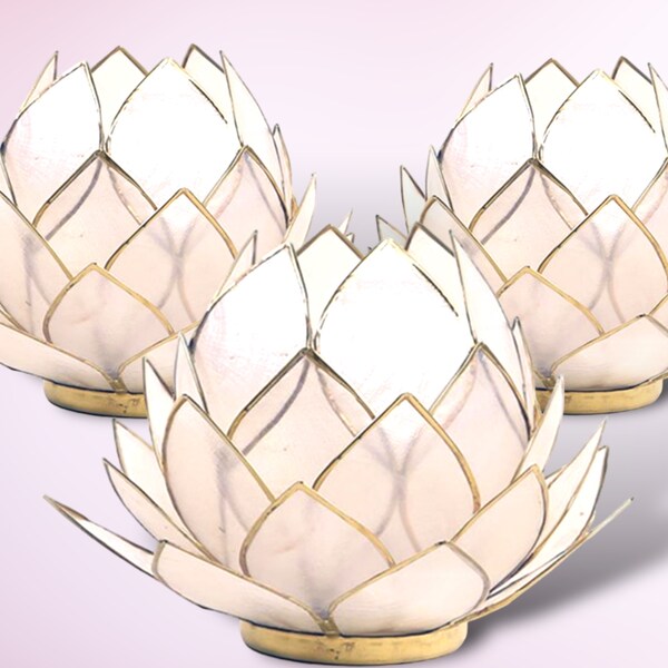 Shell Candle Holder - Etsy