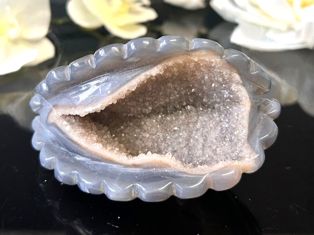 Crystal Sea Shell Blue Agate Nature Inspired Bathroom Decor Sparkly ...