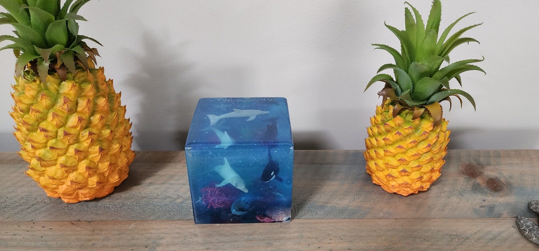 Ocean Resin Dolphin and Orca Ship Wreck Cube - Etsy