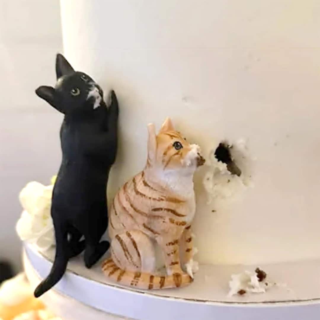 Personalized Custom Cat Wedding Cake Topper , Dog Caketopper，pets Birthday，cat Caketopper ...