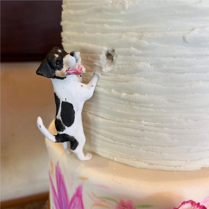 Dog Peeking on Cake - Etsy