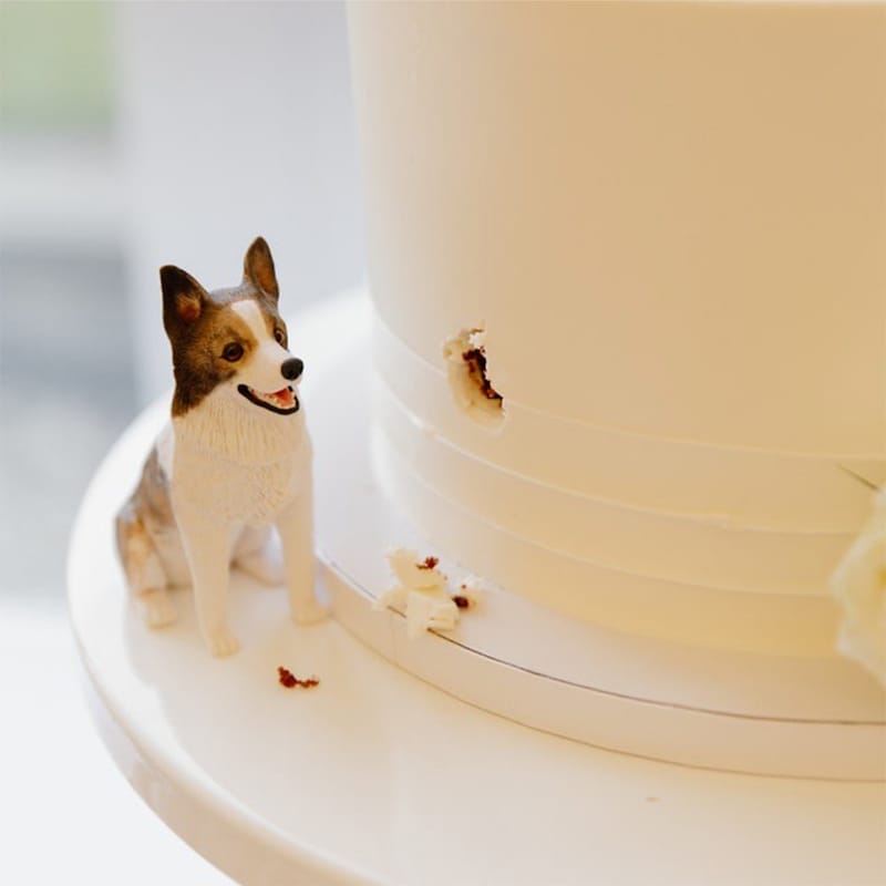 Dog Cake Topper - Etsy