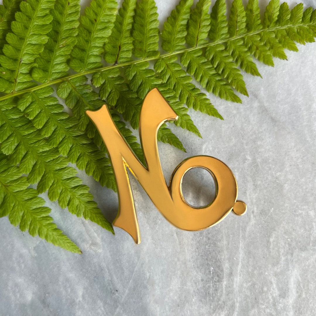 No Gold Word Pin - Etsy