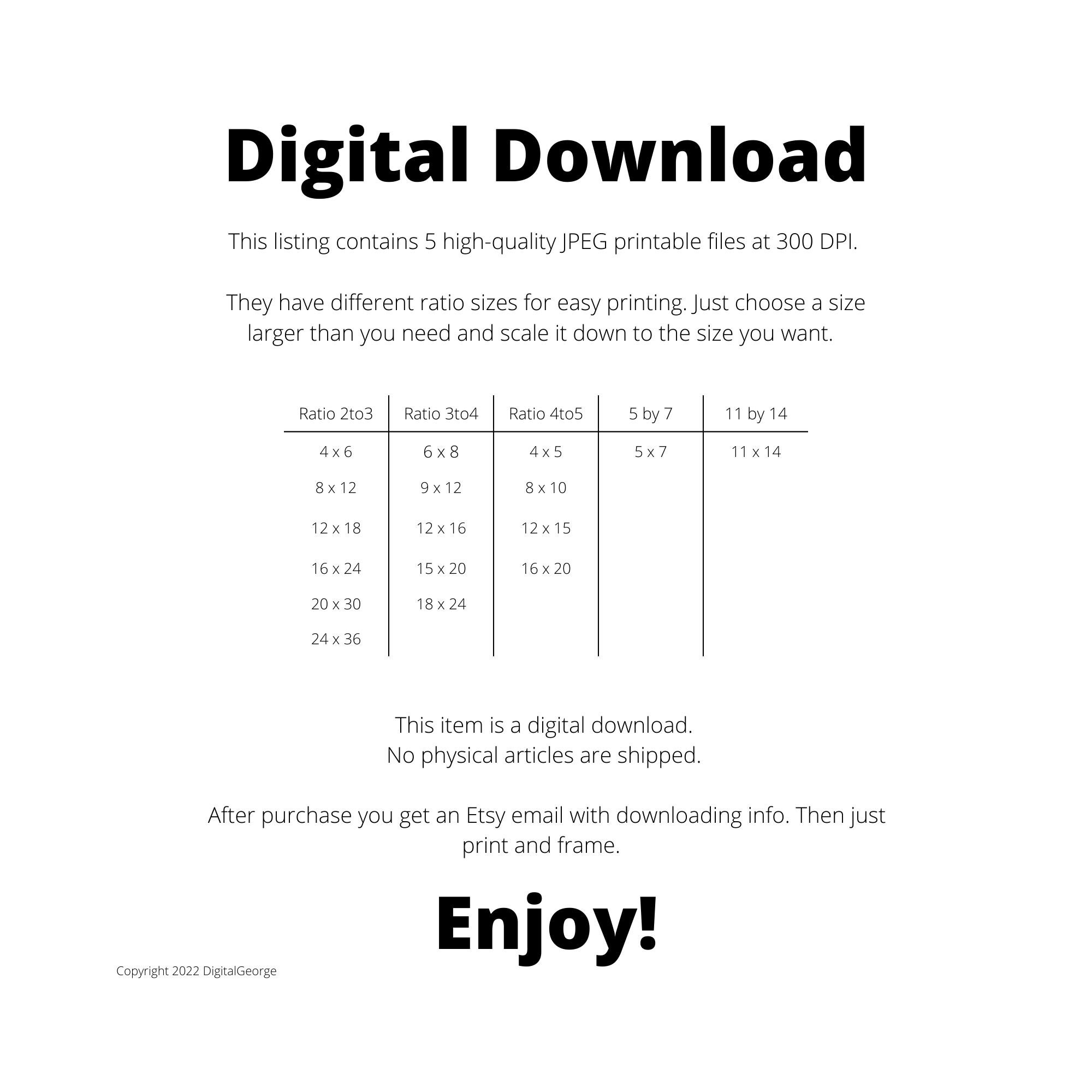 Cat Definition Print Cat Definition Wall Art Print Cat Lover - Etsy