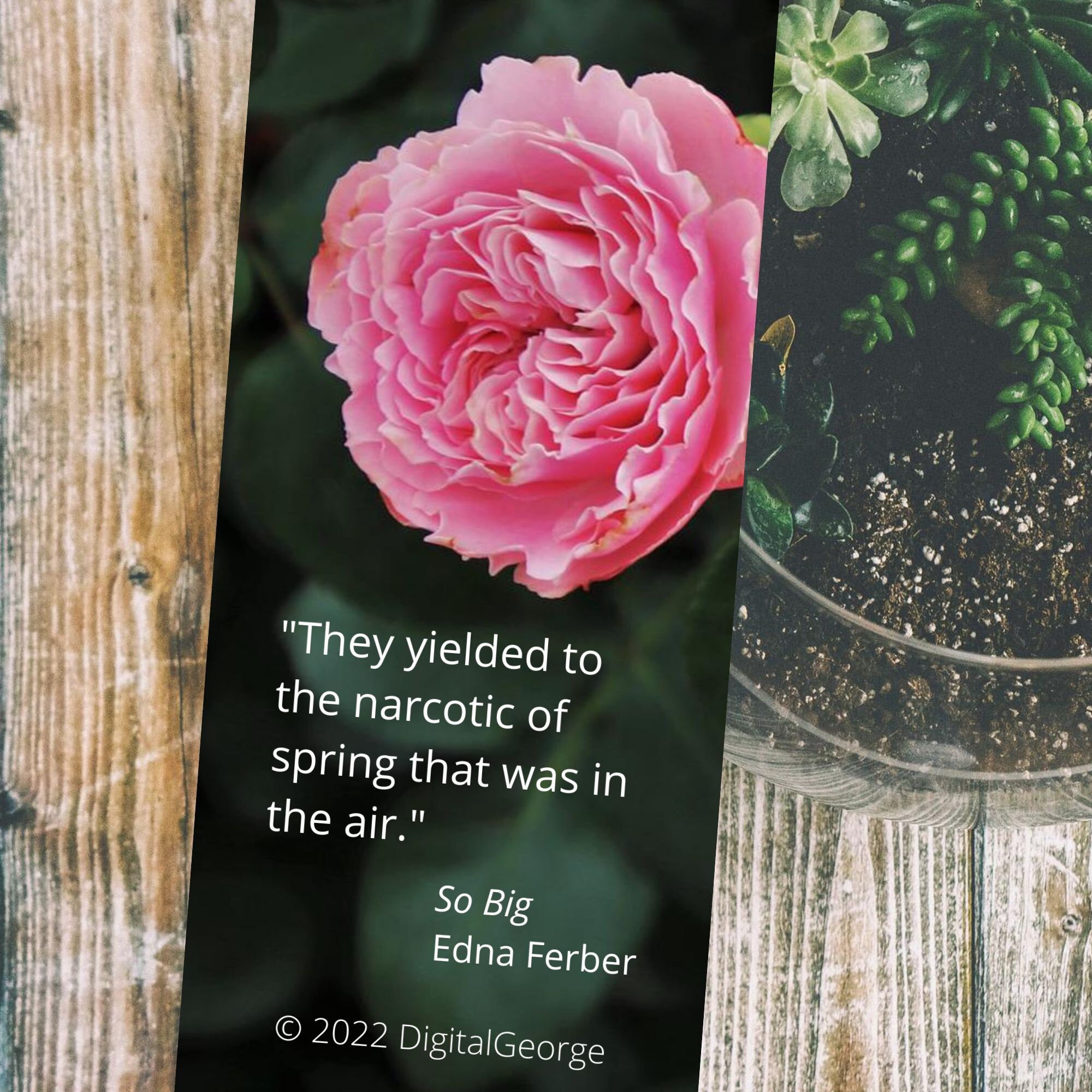 Female Author Printable Bookmarks Set, Instant Download Edna Ferber ...